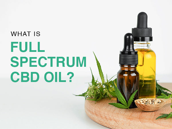 What is Full Spectrum CBD Oil? – Cannavedic