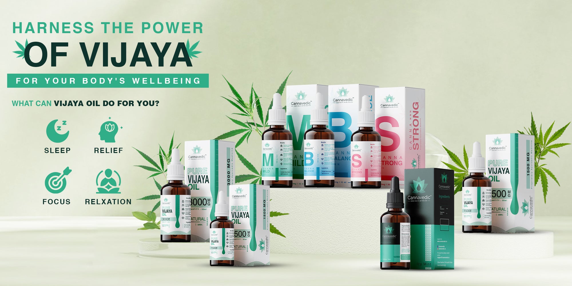 vijaya oils – Cannavedic
